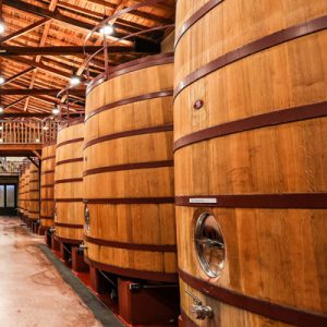 Mash Fermentation - Distillery Mixing & Blending Solutions