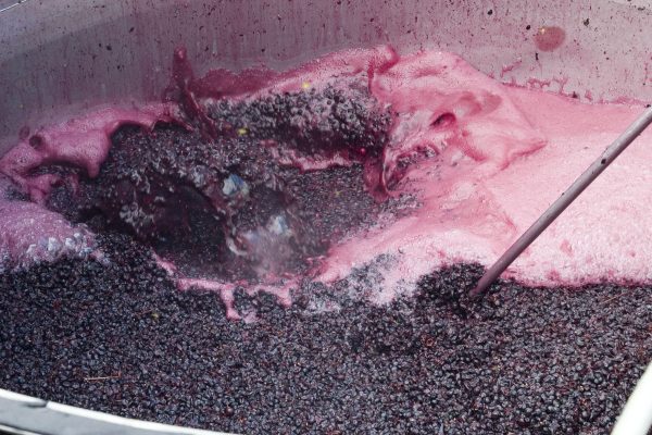 Red Wine Fermentation Process - Cap Management Wine | Pulsair