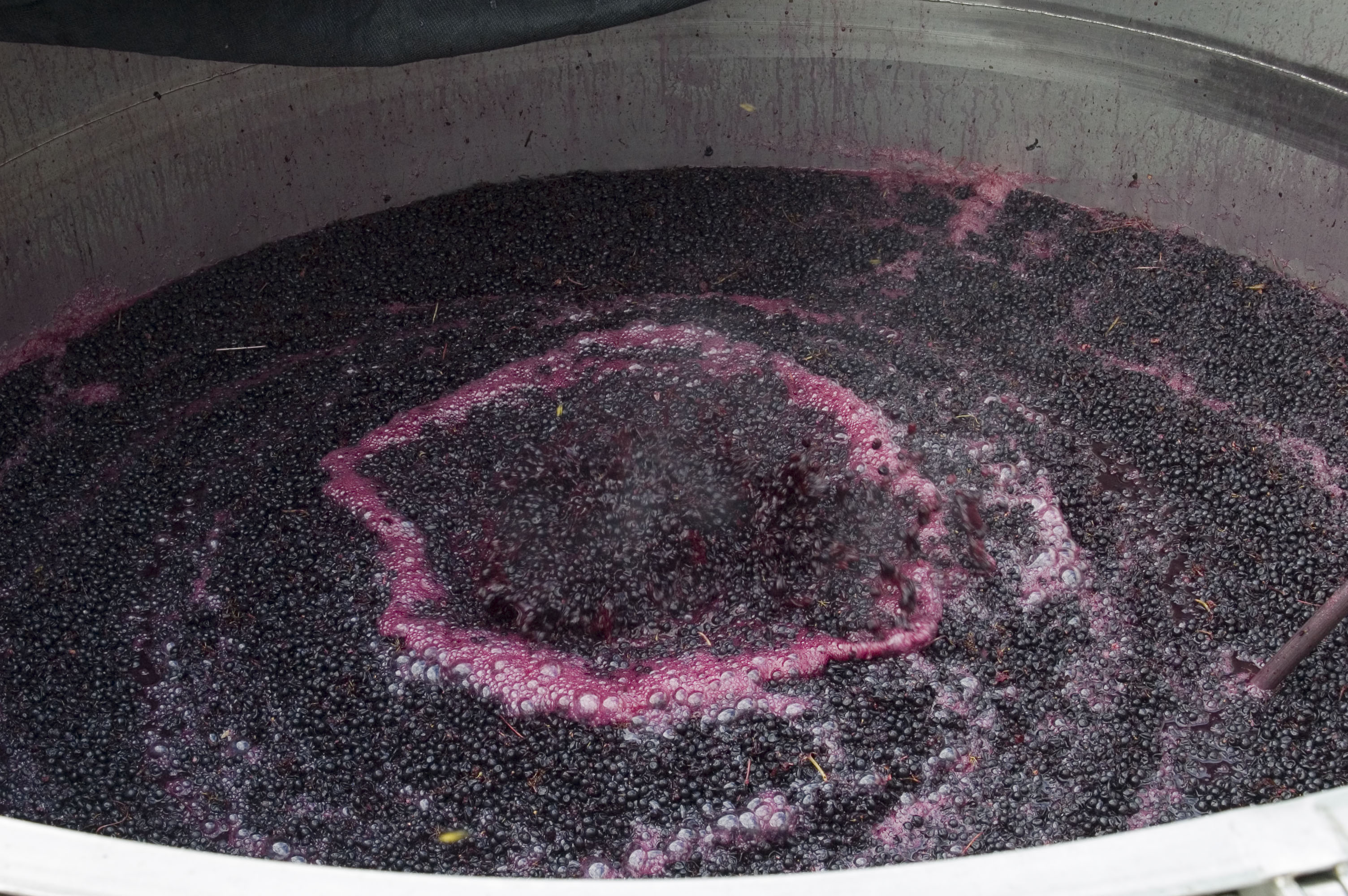 red wine cap fermentation | Pulsair - Wine Cap Management & Blending ...