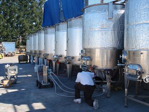 Wine Cap Management - Wine Tank Mixer in Fermentation Process